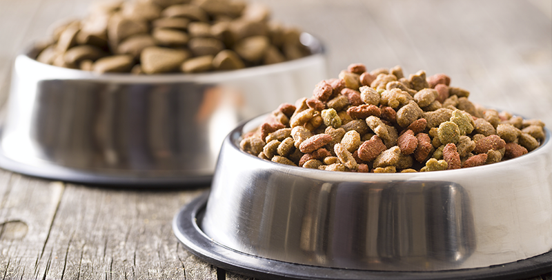 Comparatif des meilleures marques de croquettes pour chien : guide d ...